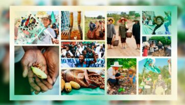 16 October 2022 | Building Stronger and New Alliances to Strengthen the ...